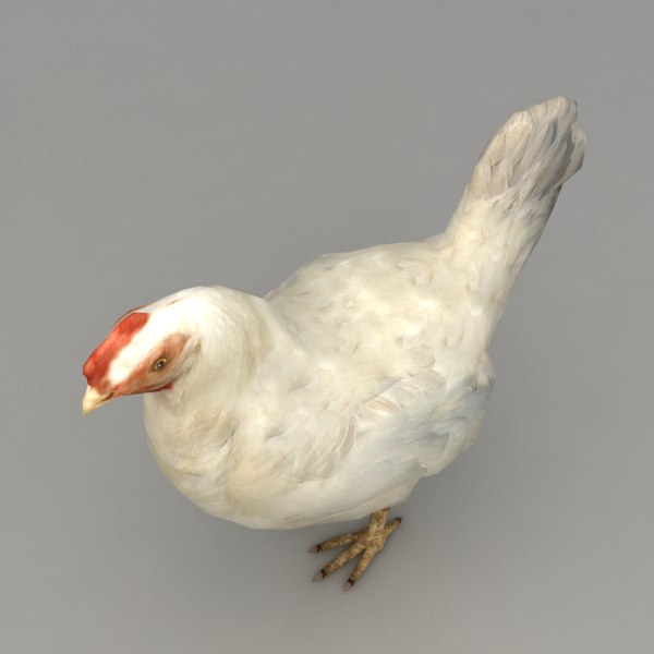3d model rigged chicken