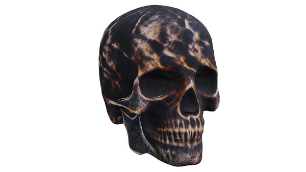 modelo 3d Cráneo carbonizado Low-poly - TurboSquid 2200561