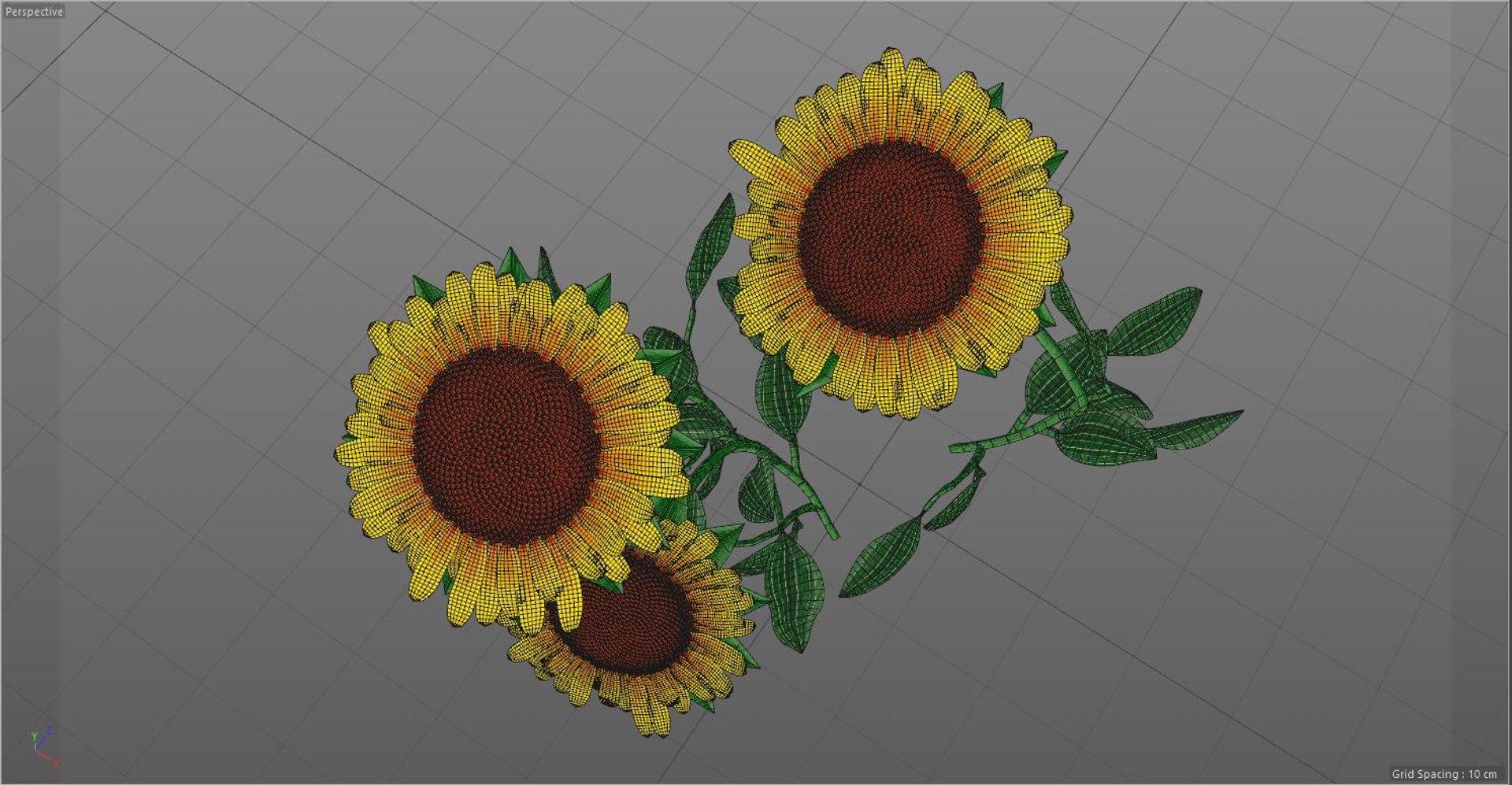 Sun Flower Sunflower Model - TurboSquid 1478896