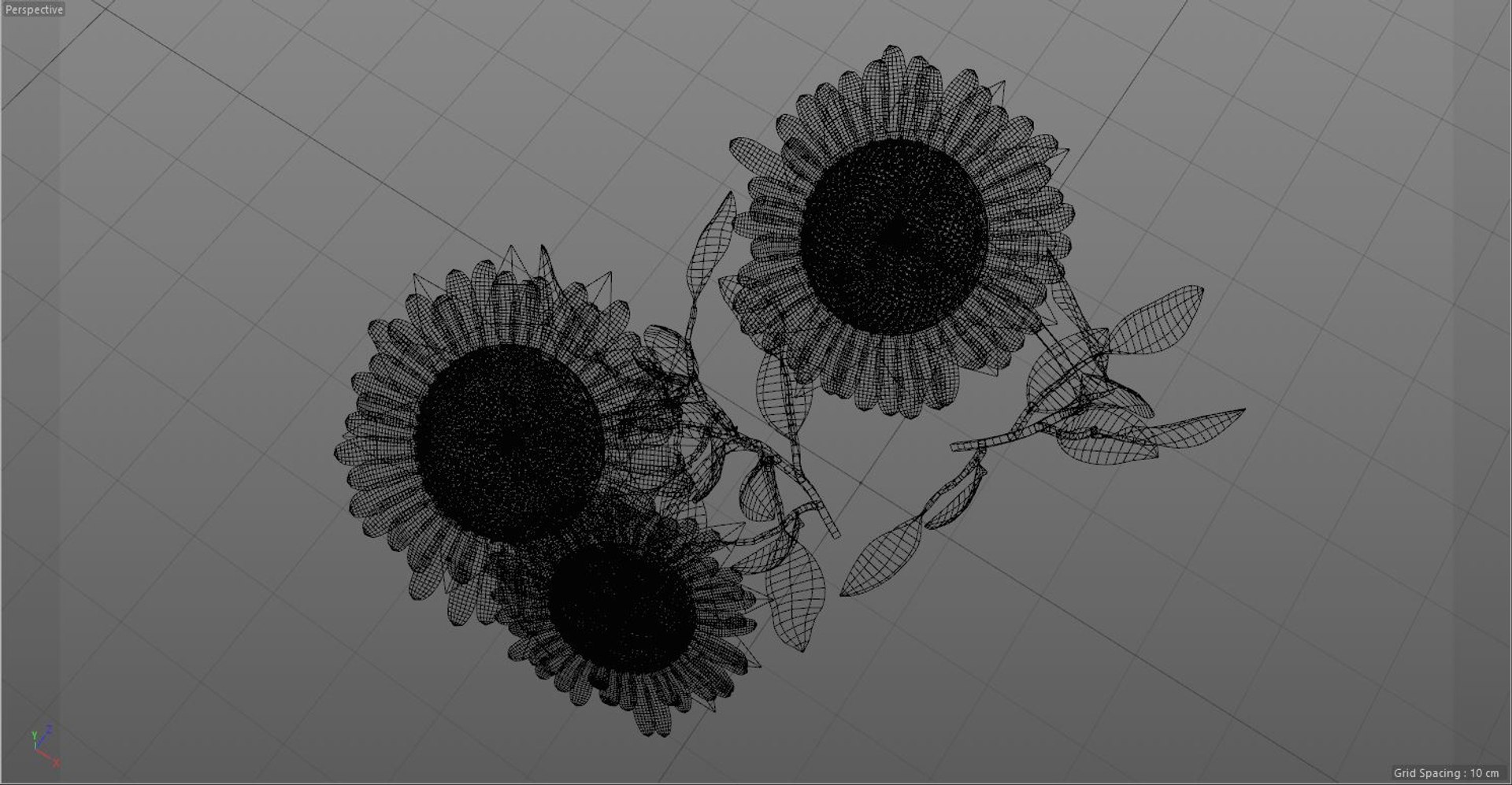 Sun Flower Sunflower Model - TurboSquid 1478896