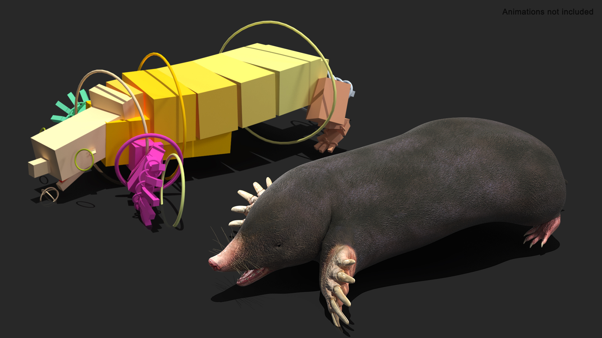 3D European Mole Animal Rigged Model - TurboSquid 2222163