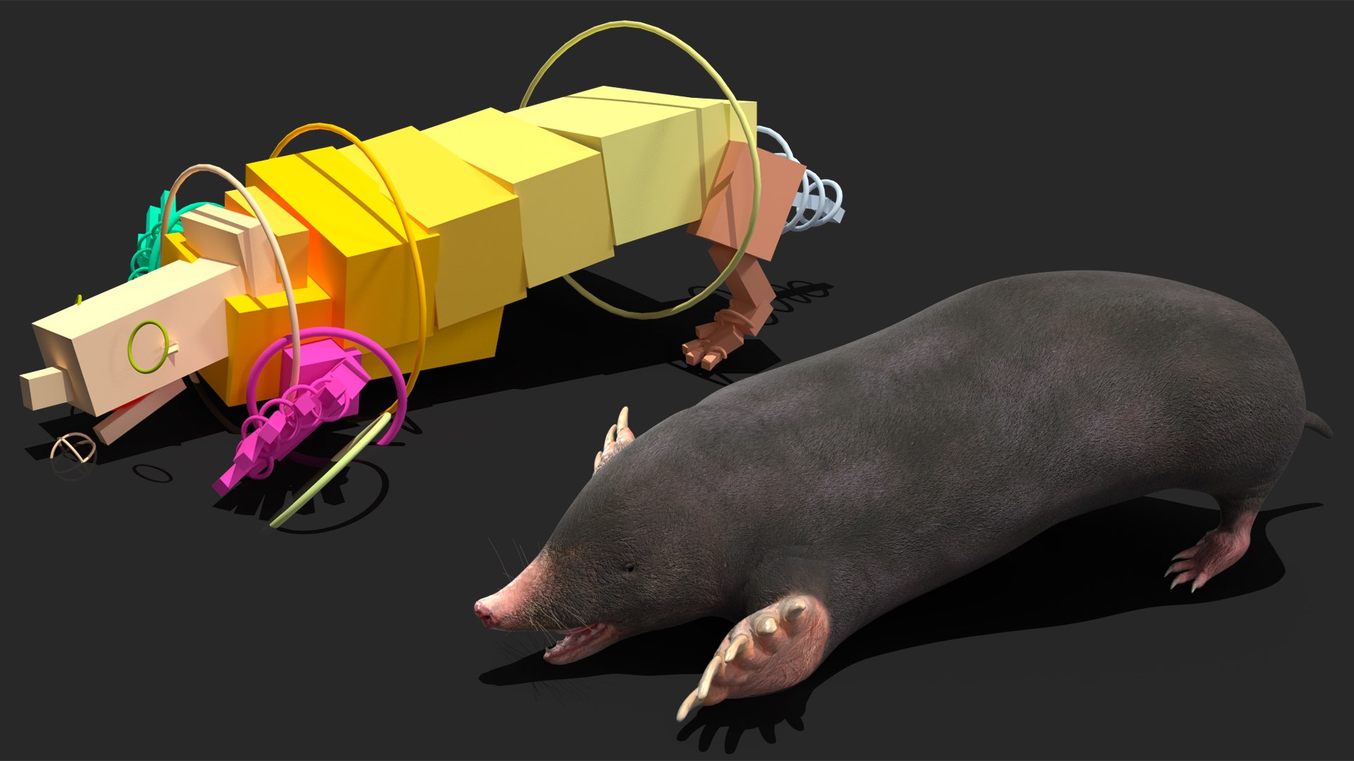 3D European Mole Animal Rigged Model - TurboSquid 2222163