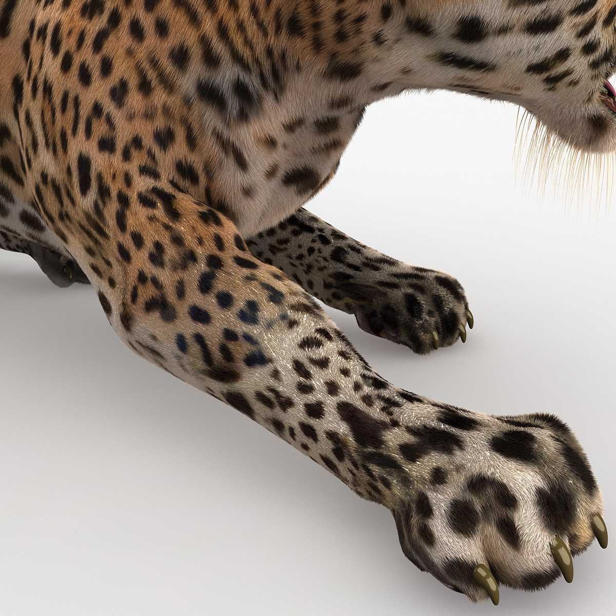 modelo 3d Pose de jaguar 3 pieles - TurboSquid 804199
