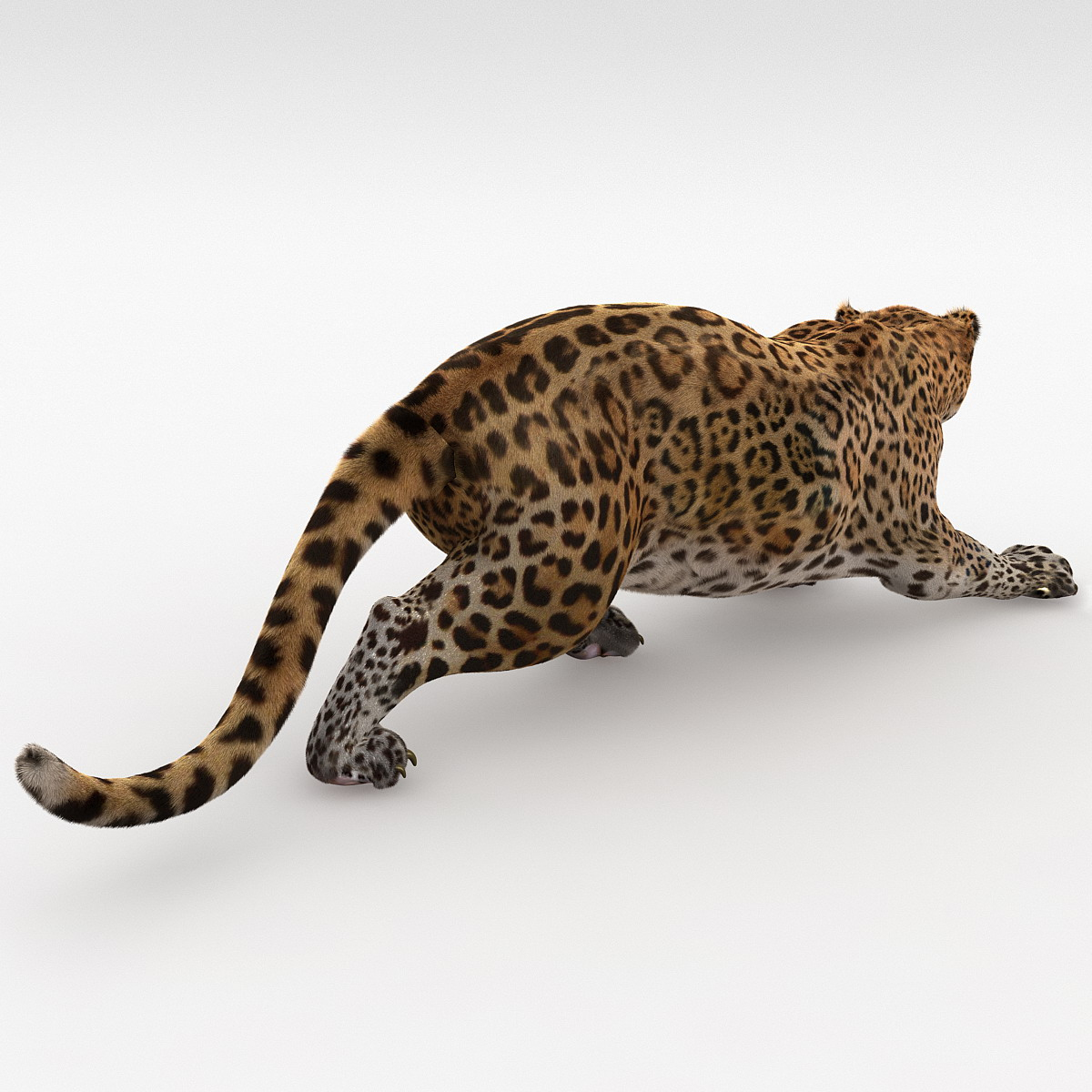 modelo 3d Pose de jaguar 3 pieles - TurboSquid 804199