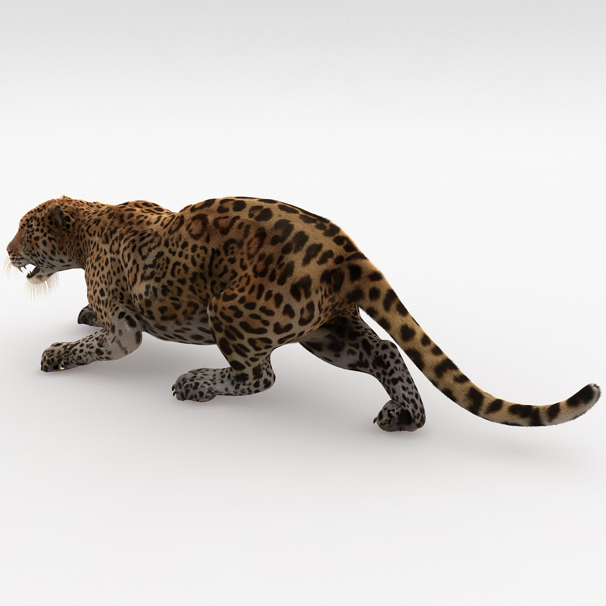 modelo 3d Pose de jaguar 3 pieles - TurboSquid 804199
