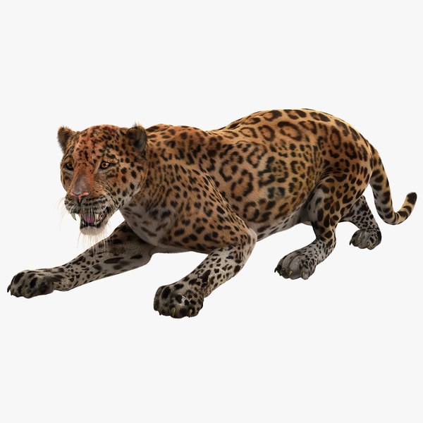 modelo 3d Pose de jaguar 3 pieles - TurboSquid 804199