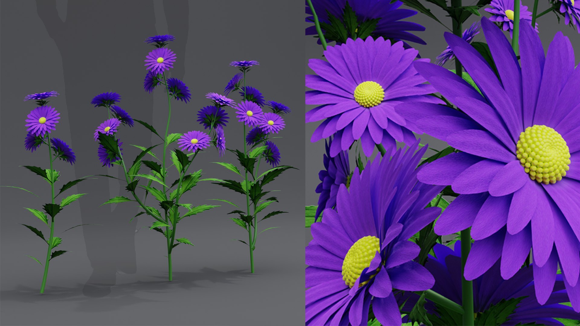 3D Model Flowers Plant - TurboSquid 2085788