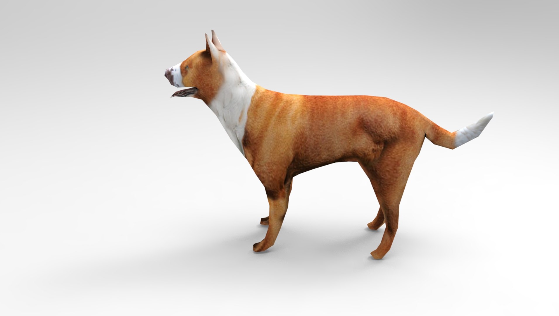Dog Ready Obj