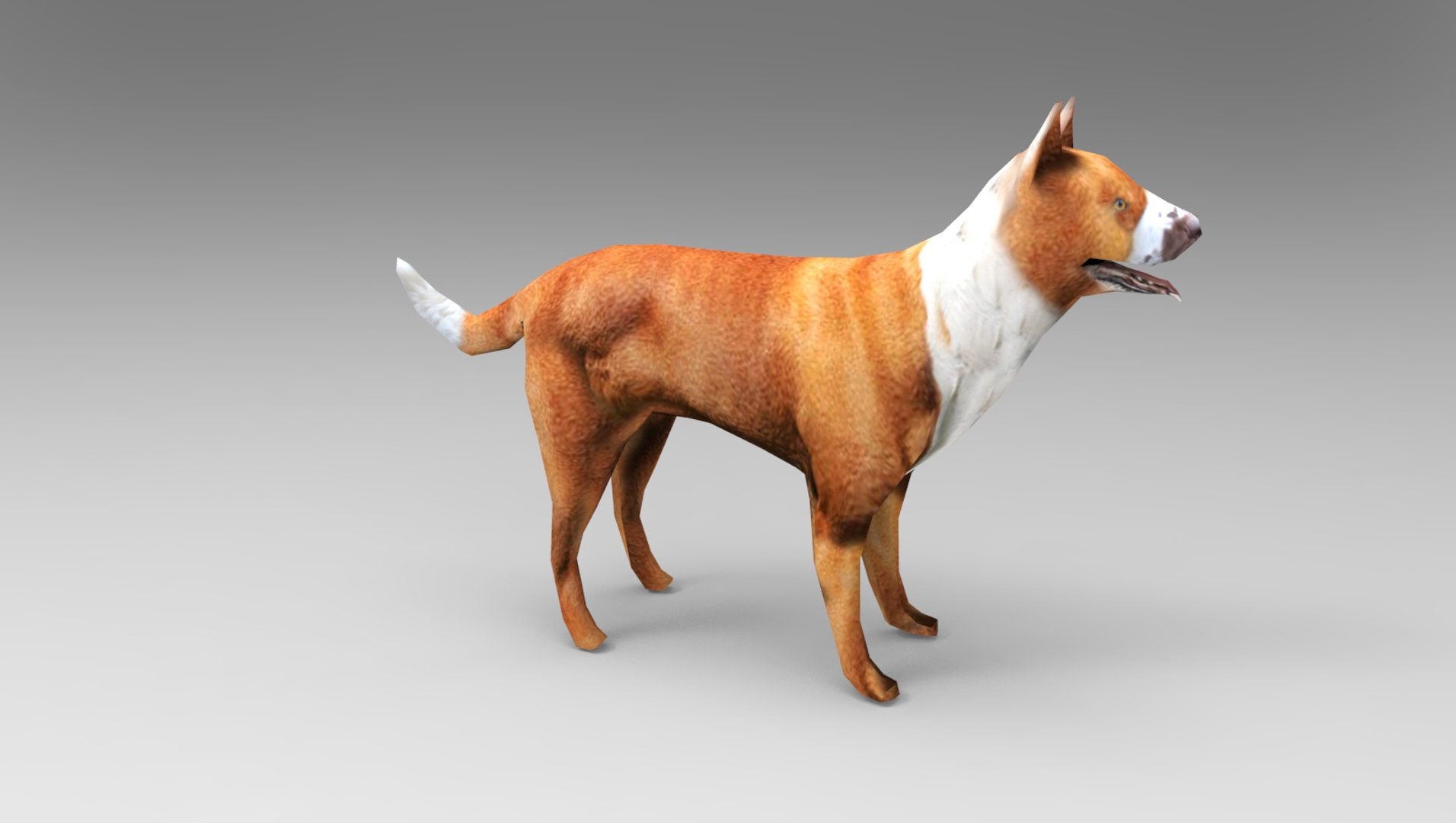 Dog Ready Obj