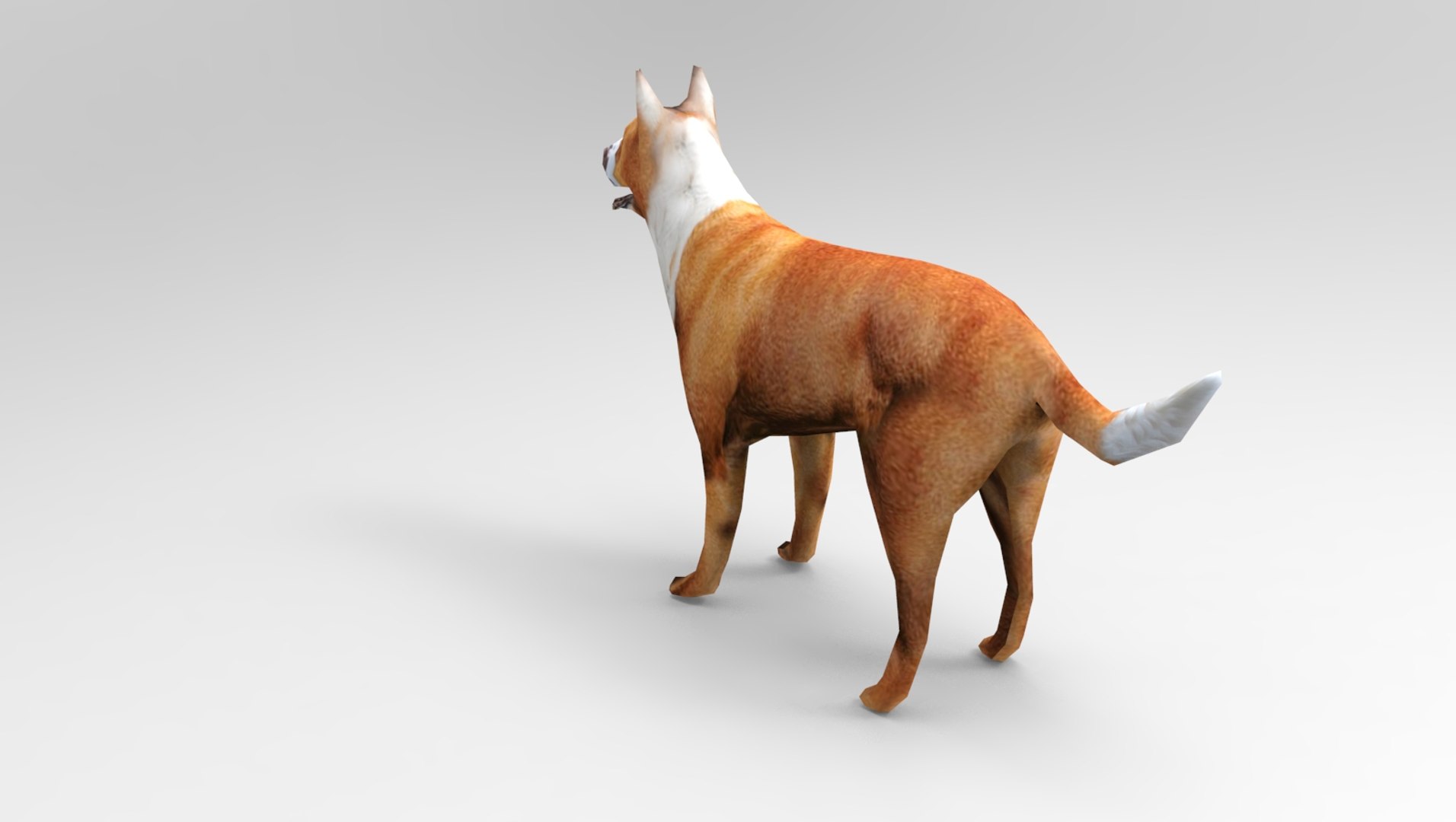 Dog Ready Obj