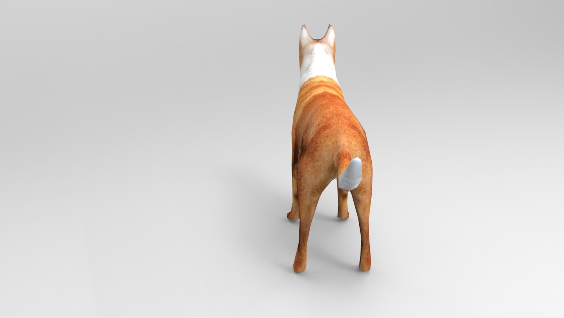 Dog Ready Obj