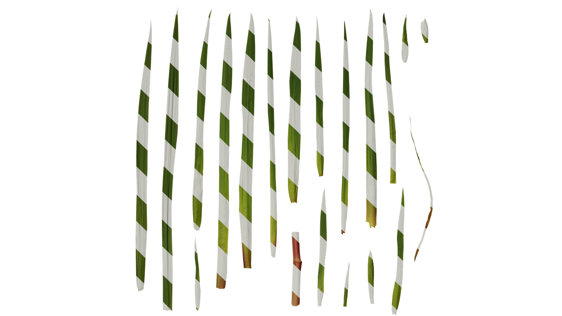 3D Anydrafts Iris Pseudacorus Leaf 01 Textures - TurboSquid 2345050