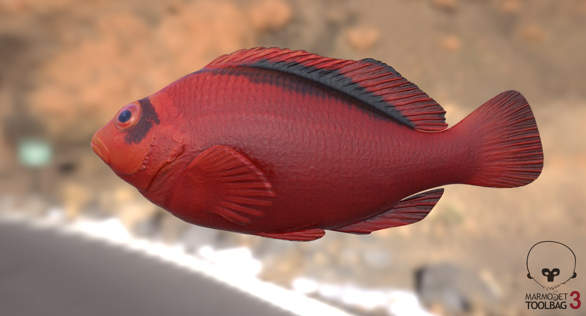 Flame hawkfish 3D model - TurboSquid 1406011