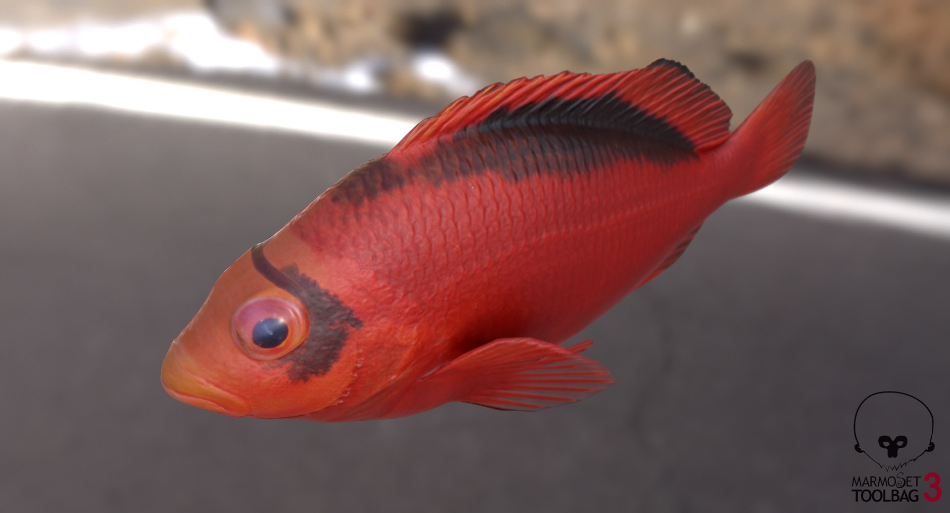 Flame hawkfish 3D model - TurboSquid 1406011