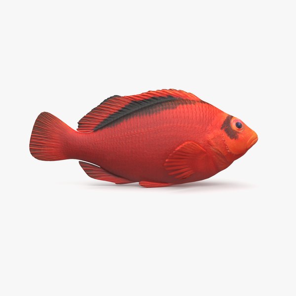 Fish Flame 3ds Max Models for Download | TurboSquid