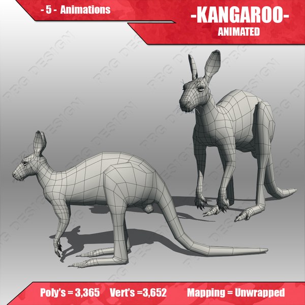 modelo 3d Canguro Animado - TurboSquid 790898