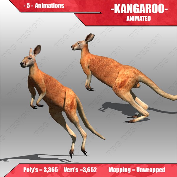 modelo 3d Canguro Animado - TurboSquid 790898
