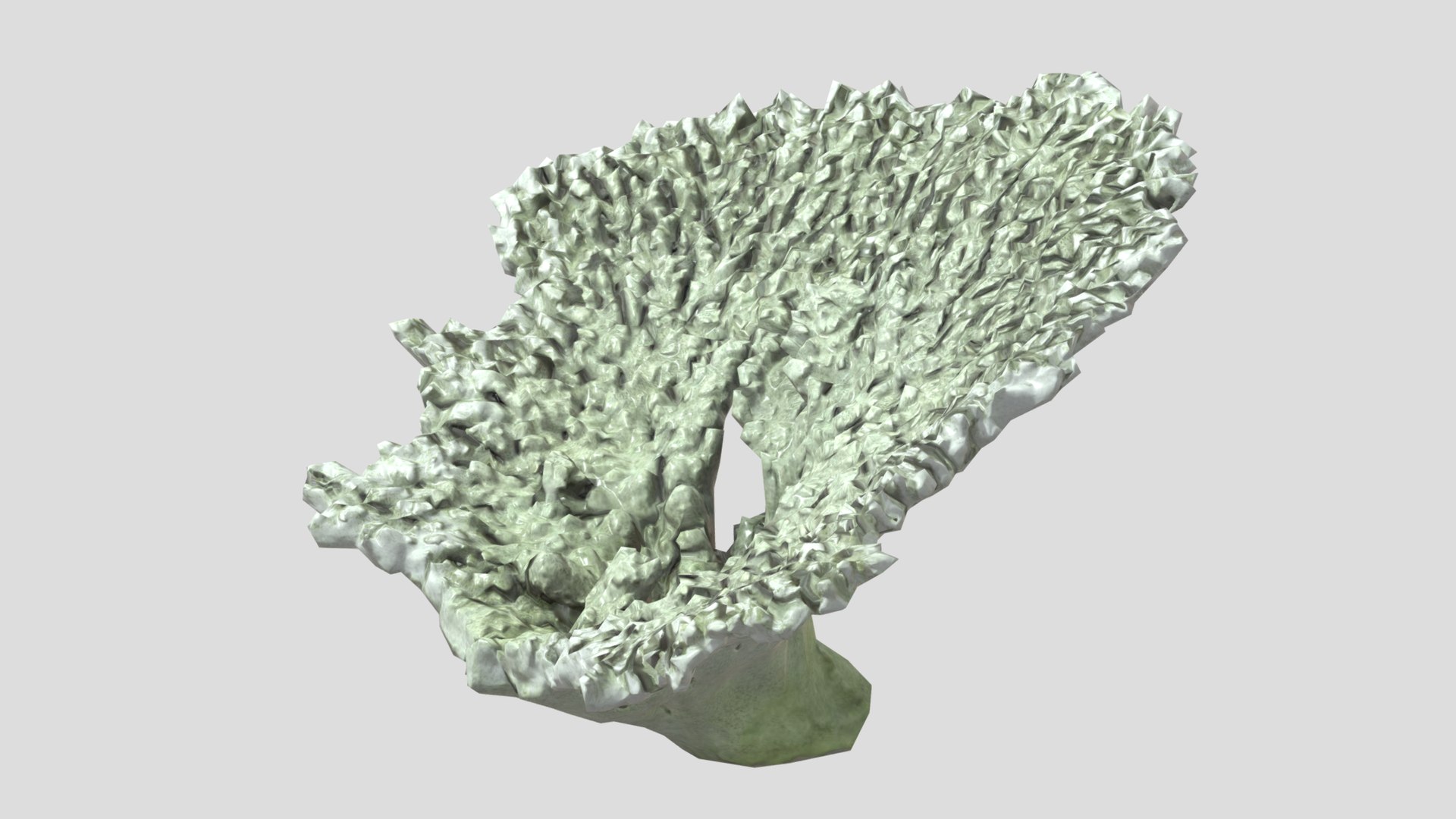 Acropora Clathrata Coral Low Poly 3D - TurboSquid 2271954