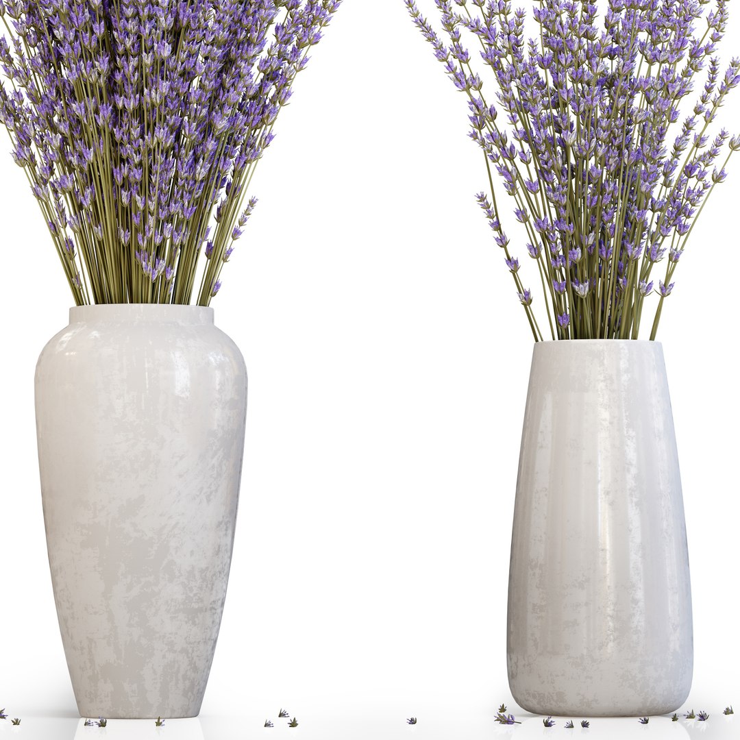 Dry Flowers 11 Lavender 3D Model - TurboSquid 2173454