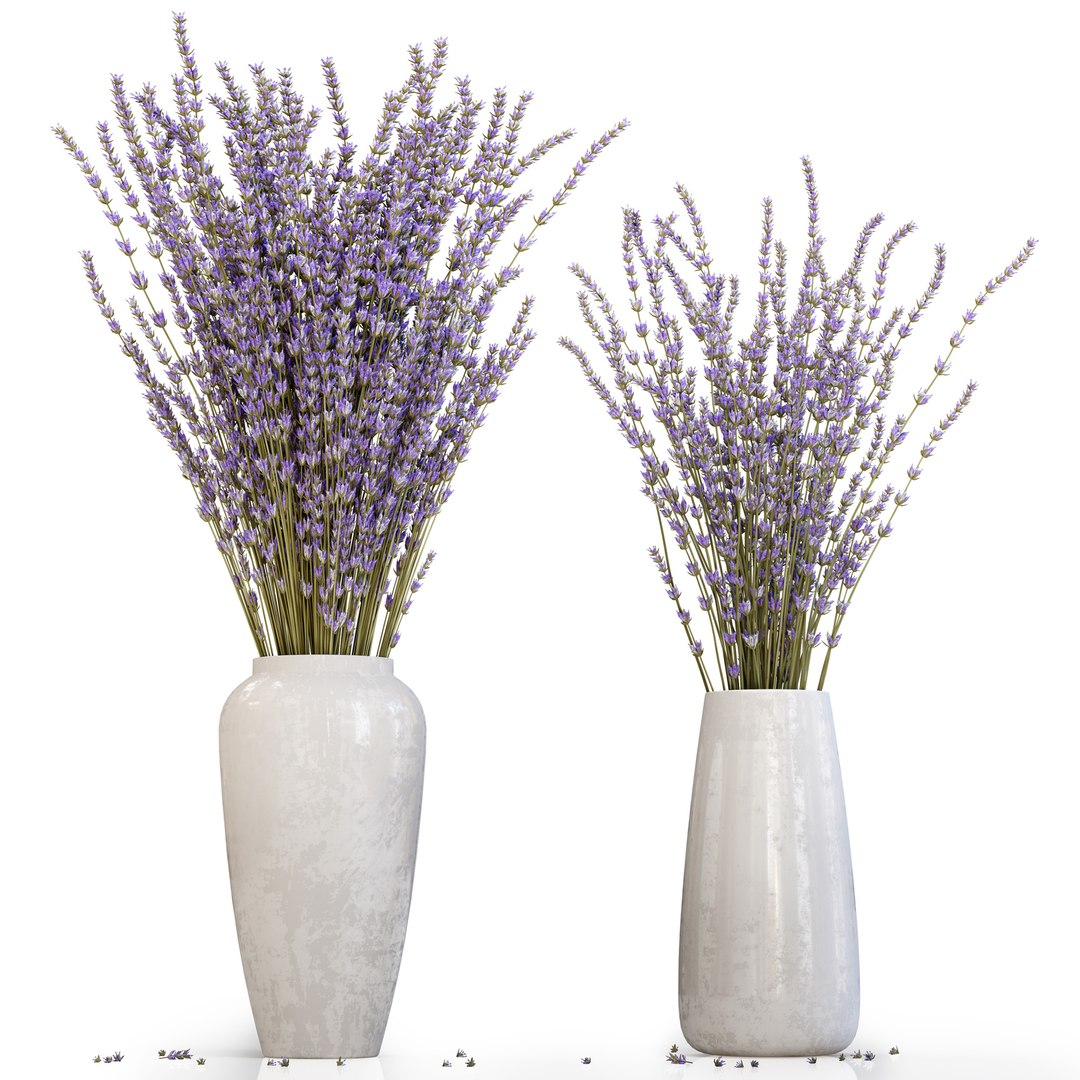 Dry Flowers 11 Lavender 3D Model - TurboSquid 2173454