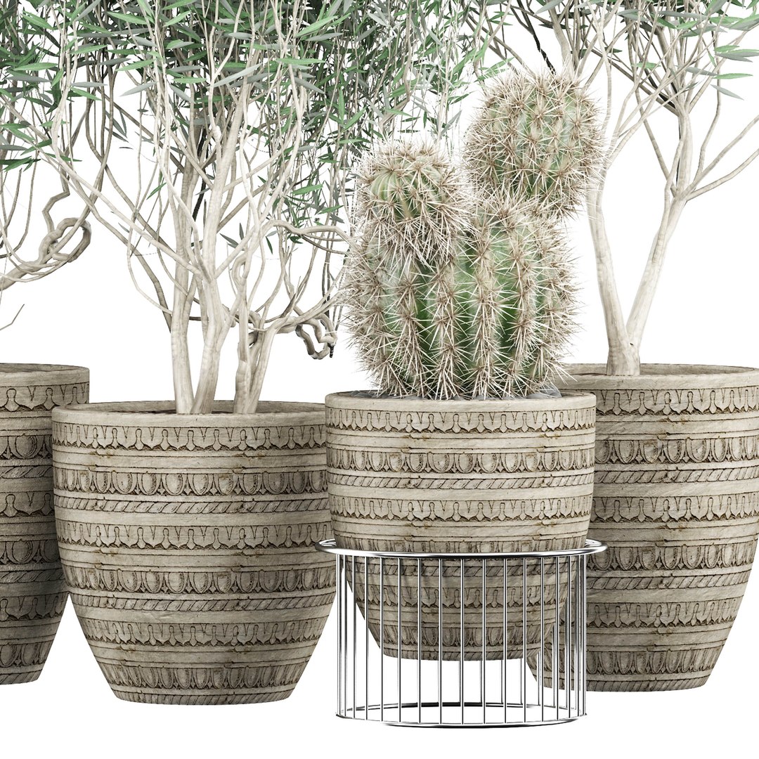 3D Flower Pack Collection - TurboSquid 1898433