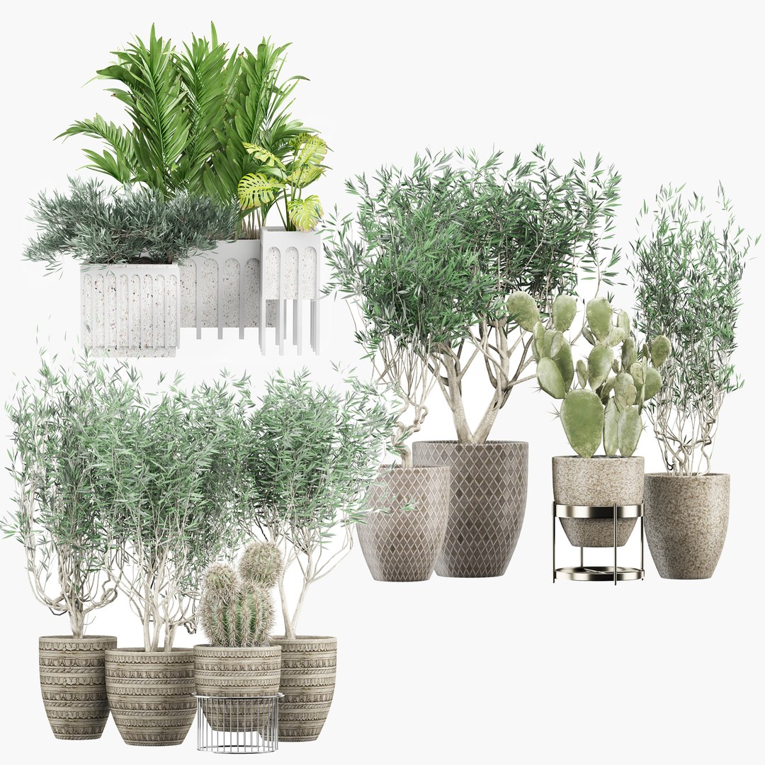 3D Flower Pack Collection - TurboSquid 1898433