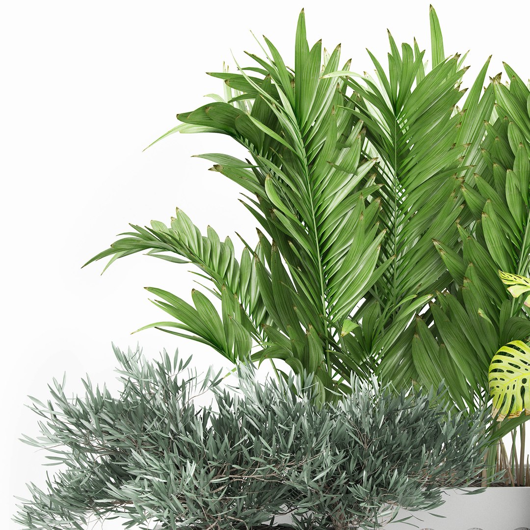 3D Flower Pack Collection - TurboSquid 1898433