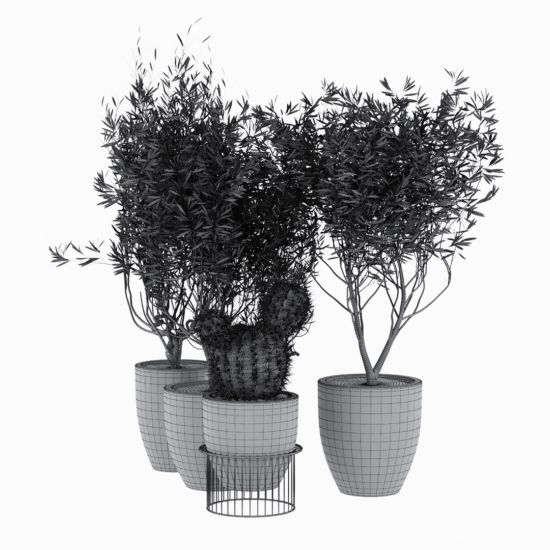 3D Flower Pack Collection - TurboSquid 1898433