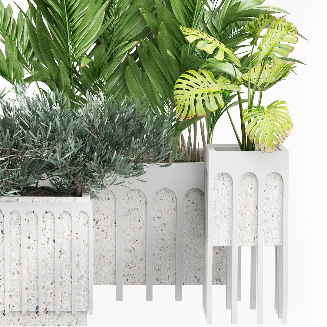 3D Flower Pack Collection - TurboSquid 1898433