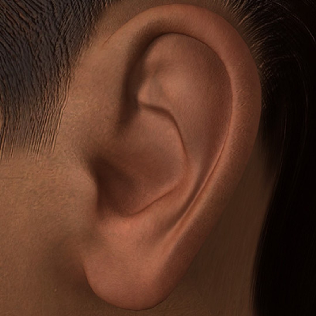 3d Model Berry Female Type Body