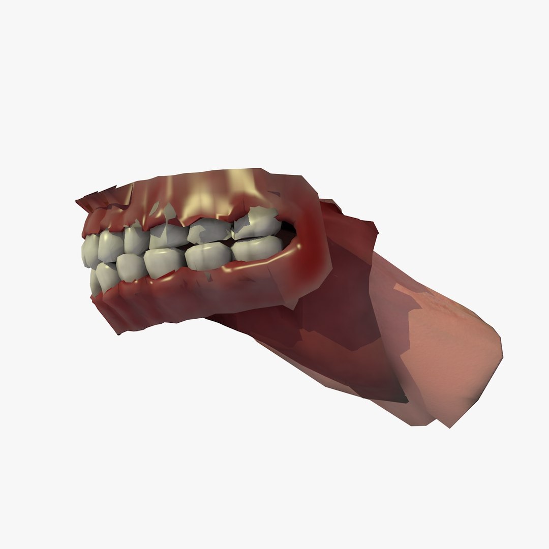 C4d Base Mesh 25 Year