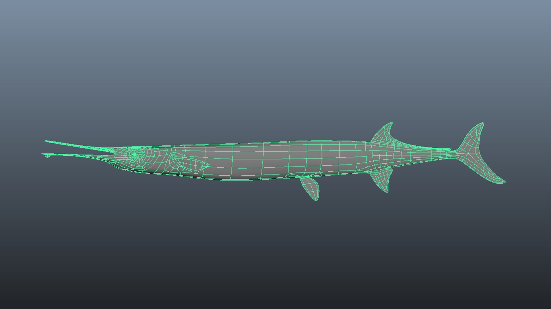 Needlefish Collection 3D - TurboSquid 1813890