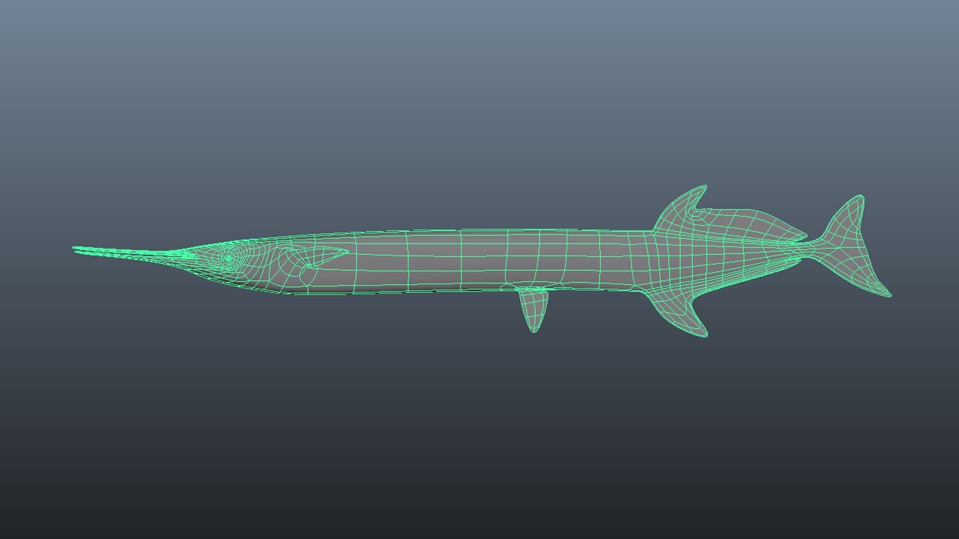 Needlefish Collection 3D - TurboSquid 1813890