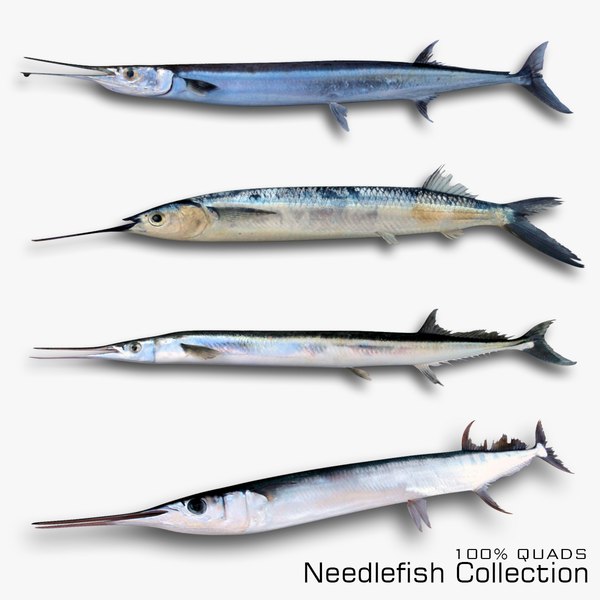 3D модель Коллекция иглы - TurboSquid 1813890