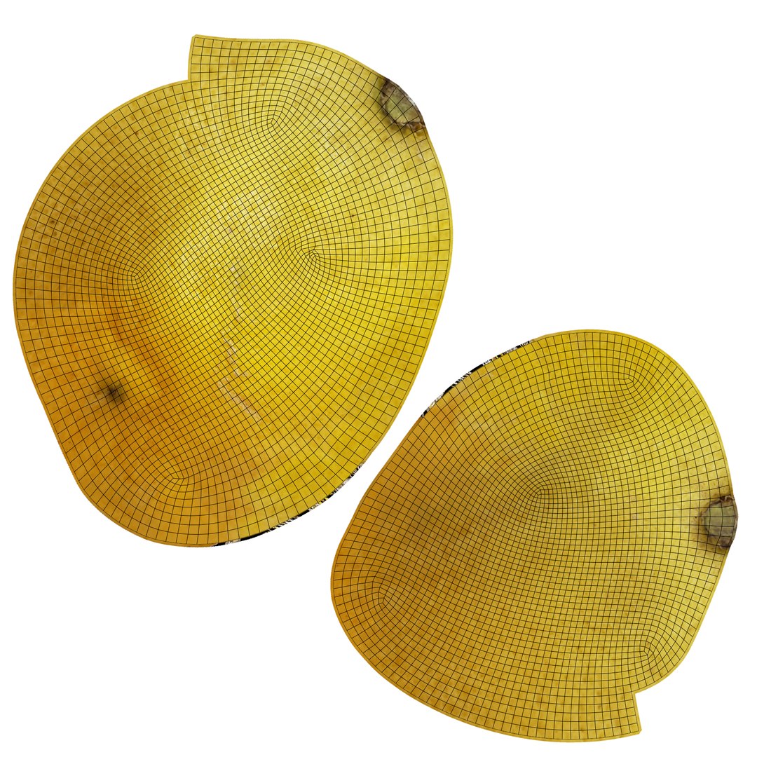 3D Lemon Model - TurboSquid 2049091