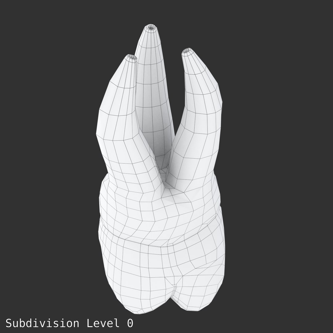Upper molar 3D - TurboSquid 1249395