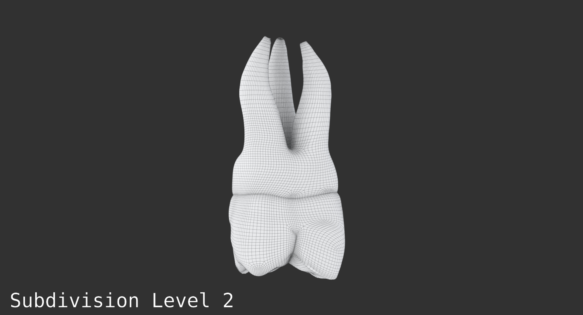 Upper molar 3D - TurboSquid 1249395