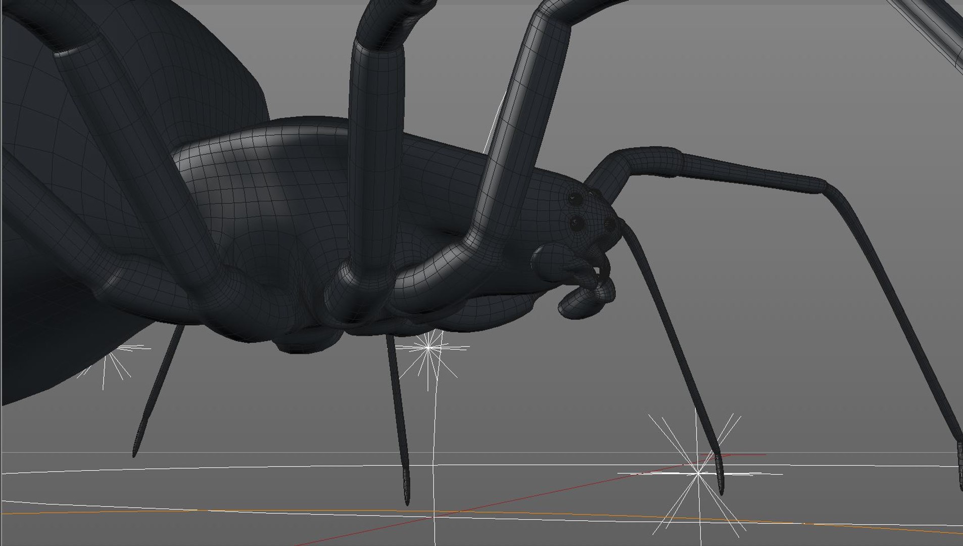 3D Writing Spider - TurboSquid 1540784