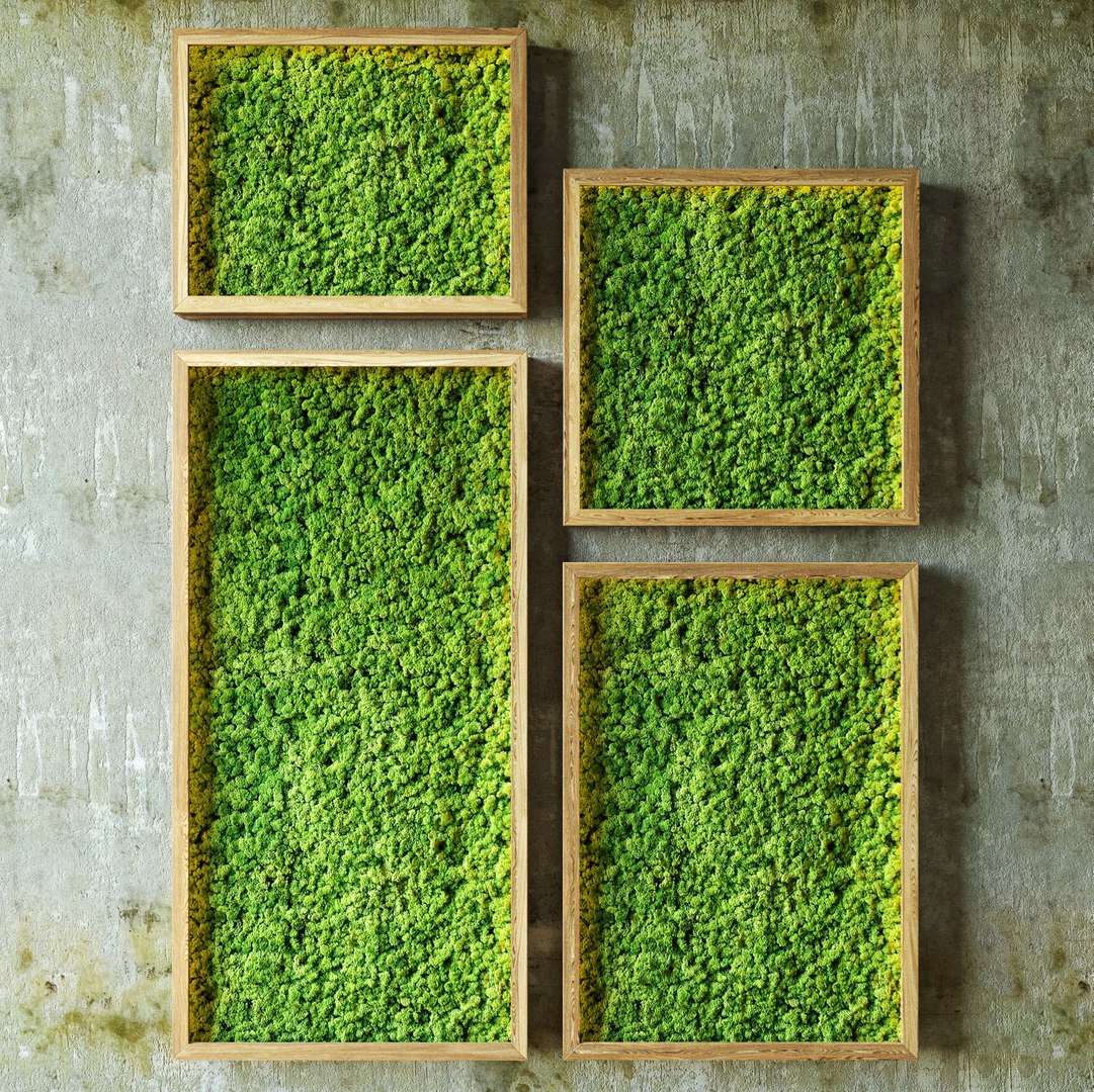 3D Moss Wall - TurboSquid 1275390
