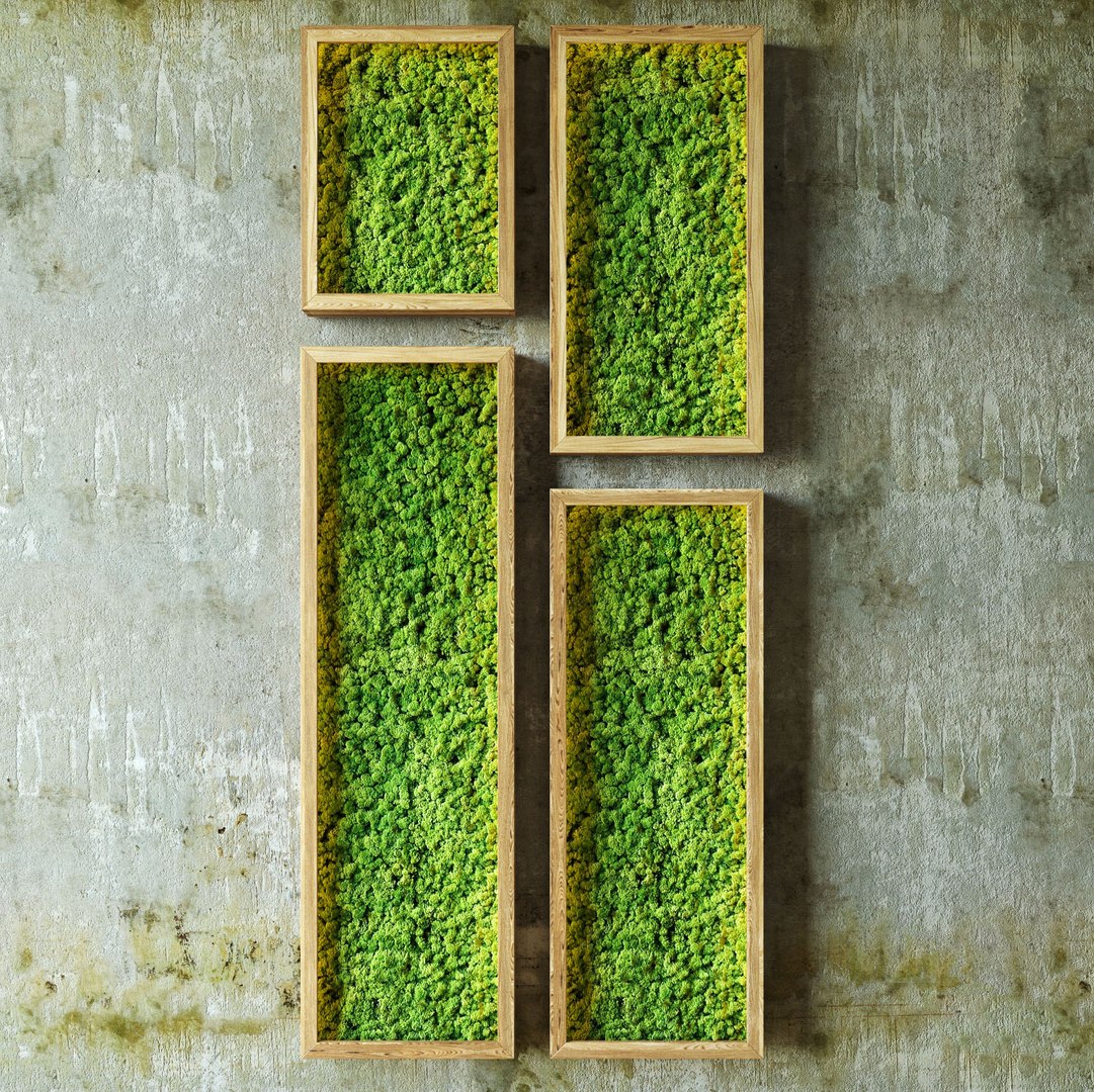 3D Moss Wall - TurboSquid 1275390