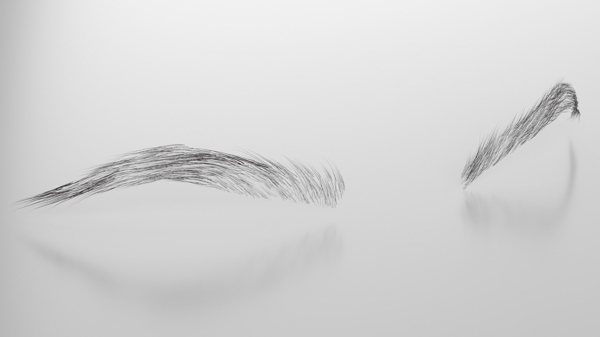 Arched Eyebrows Model - TurboSquid 2213146