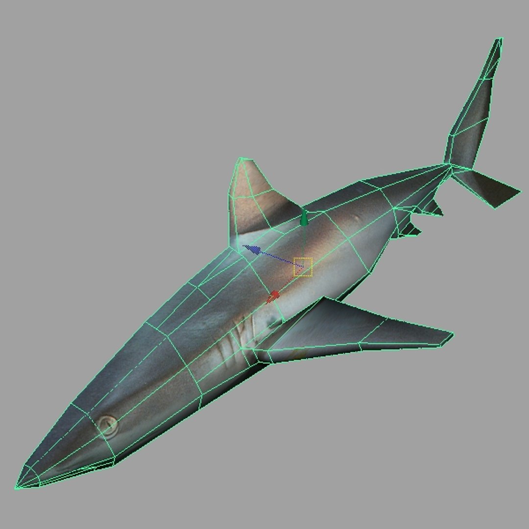 Simple Shark Ma