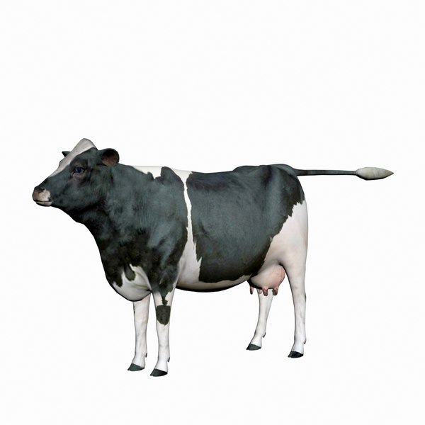 3D Holstein cow - TurboSquid 1761652