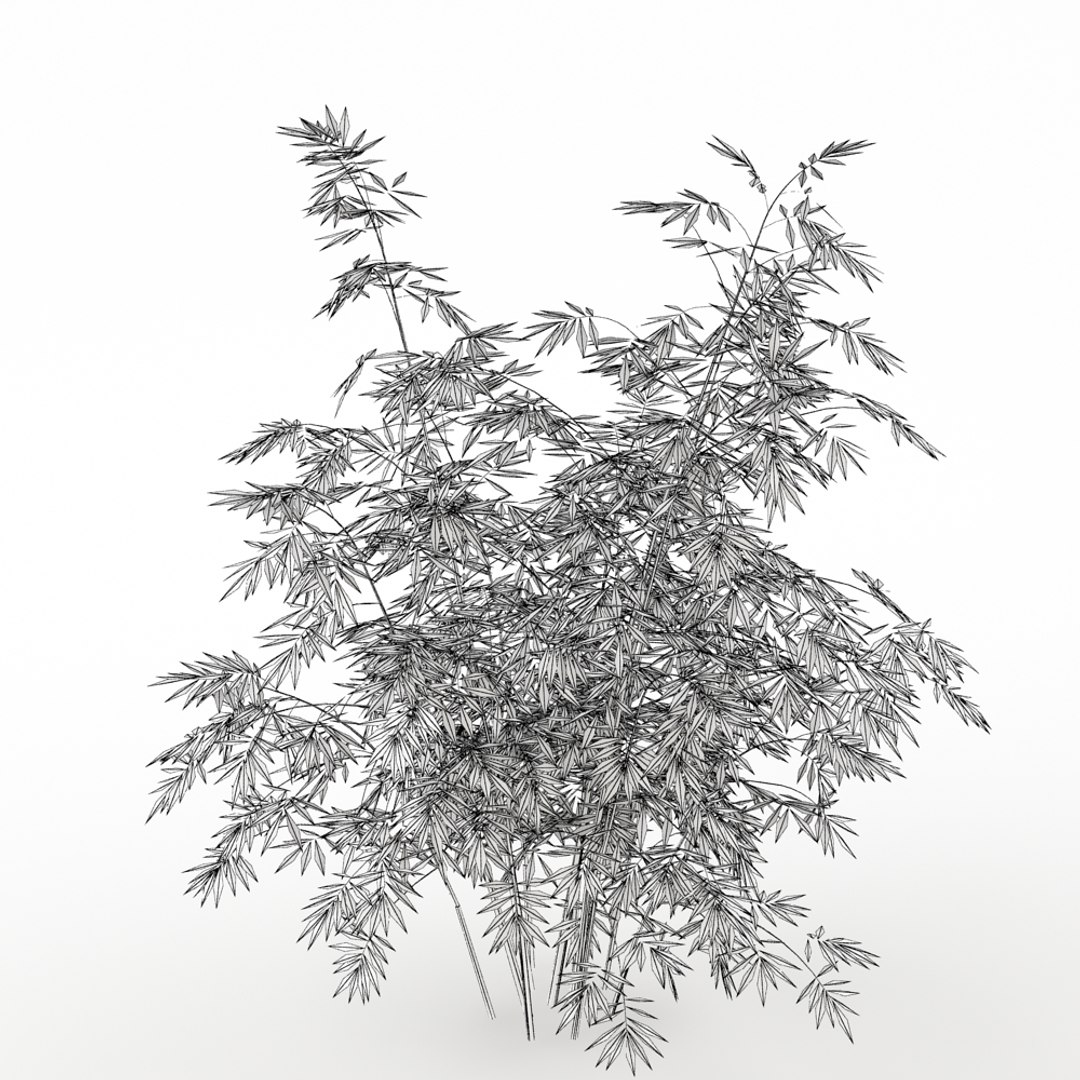 Bush Bamboo Garden 3d Model