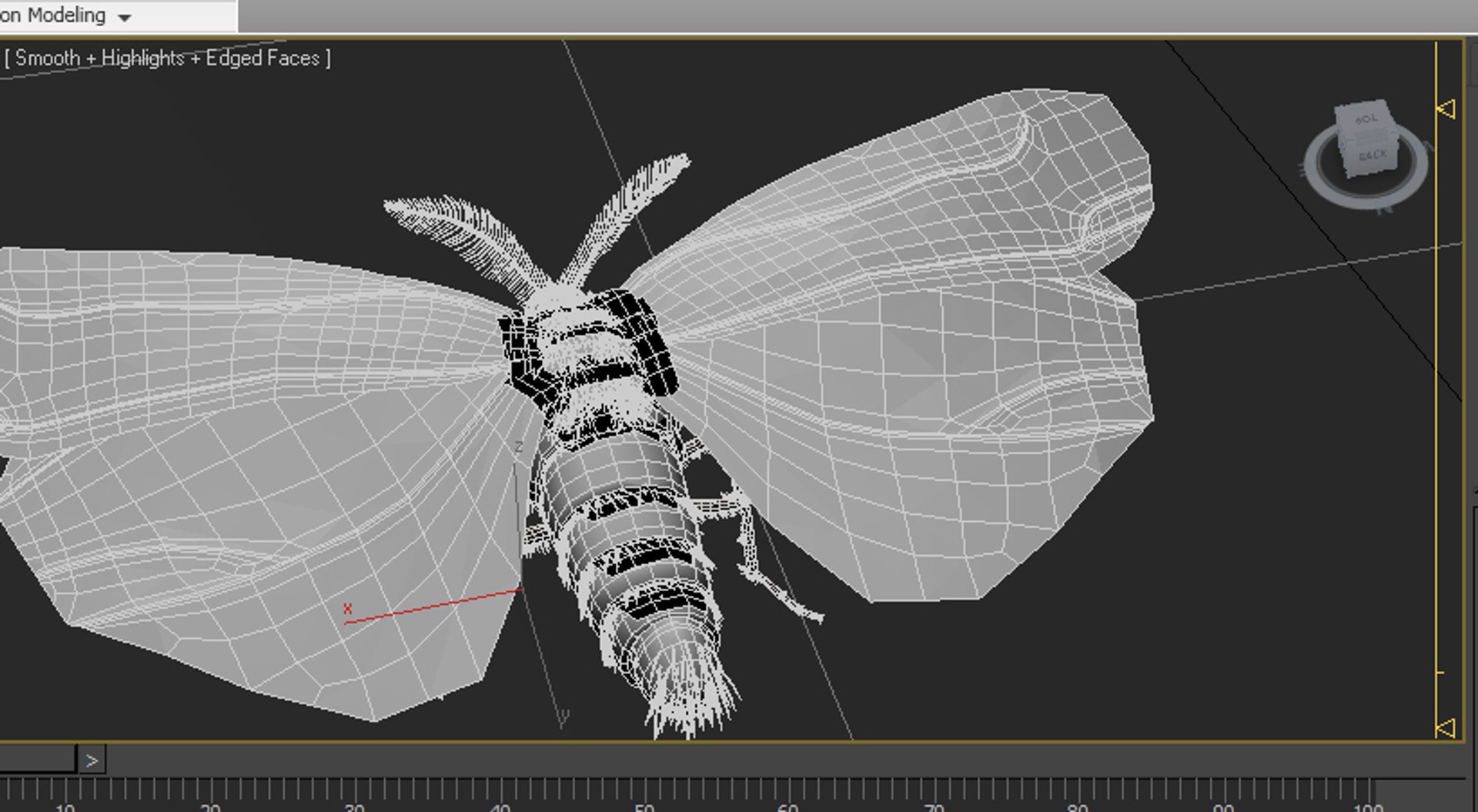 3d Moth Alpha Model