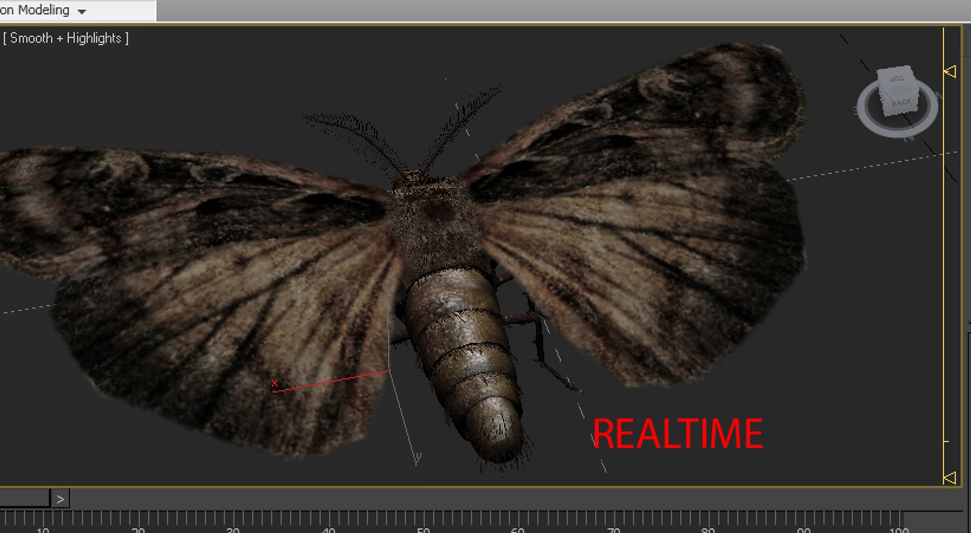 3d Moth Alpha Model