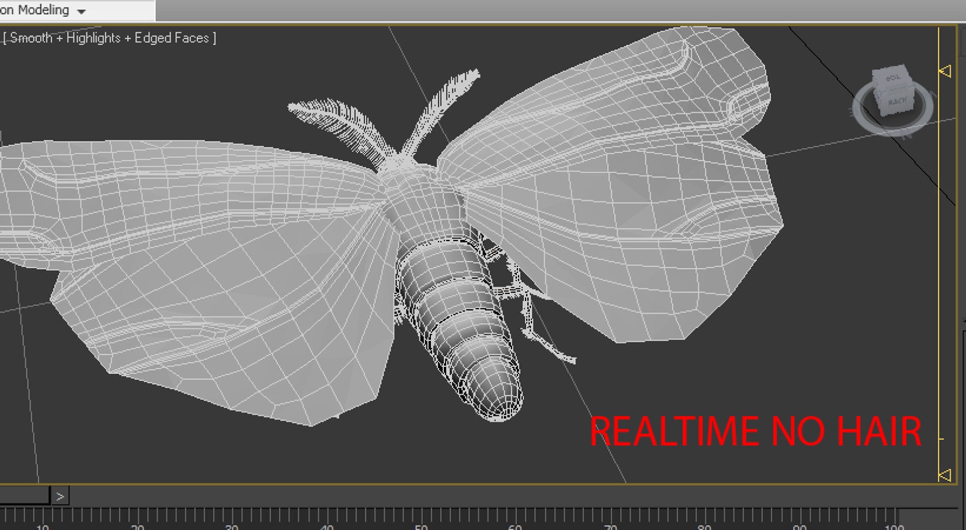 3d Moth Alpha Model