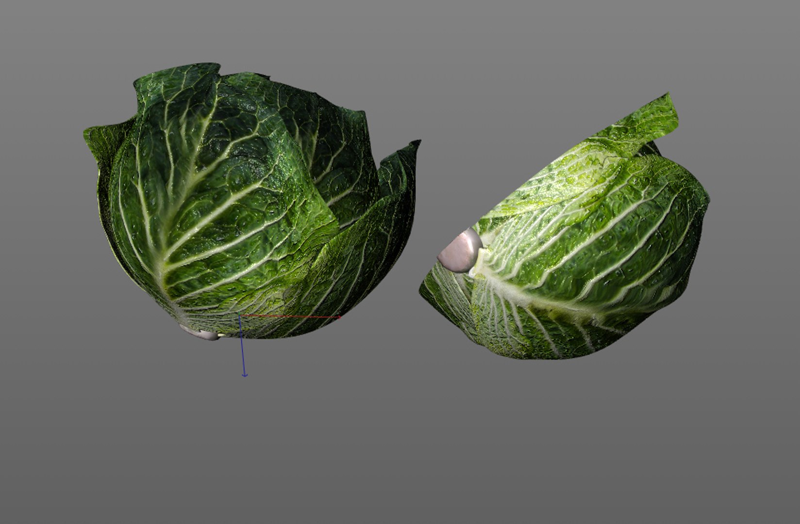 Cabbage 3D - TurboSquid 1544475