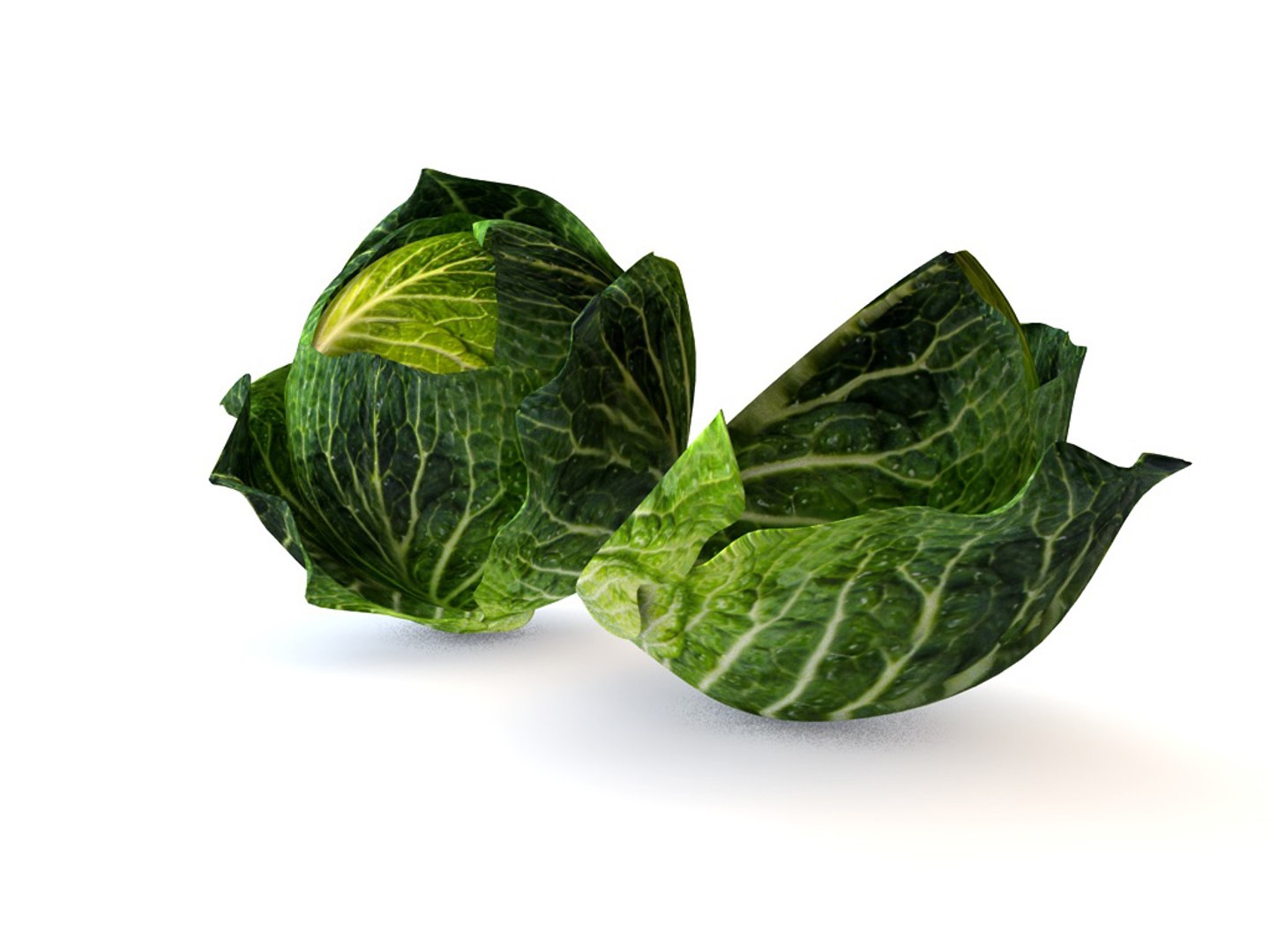 Cabbage 3D - TurboSquid 1544475
