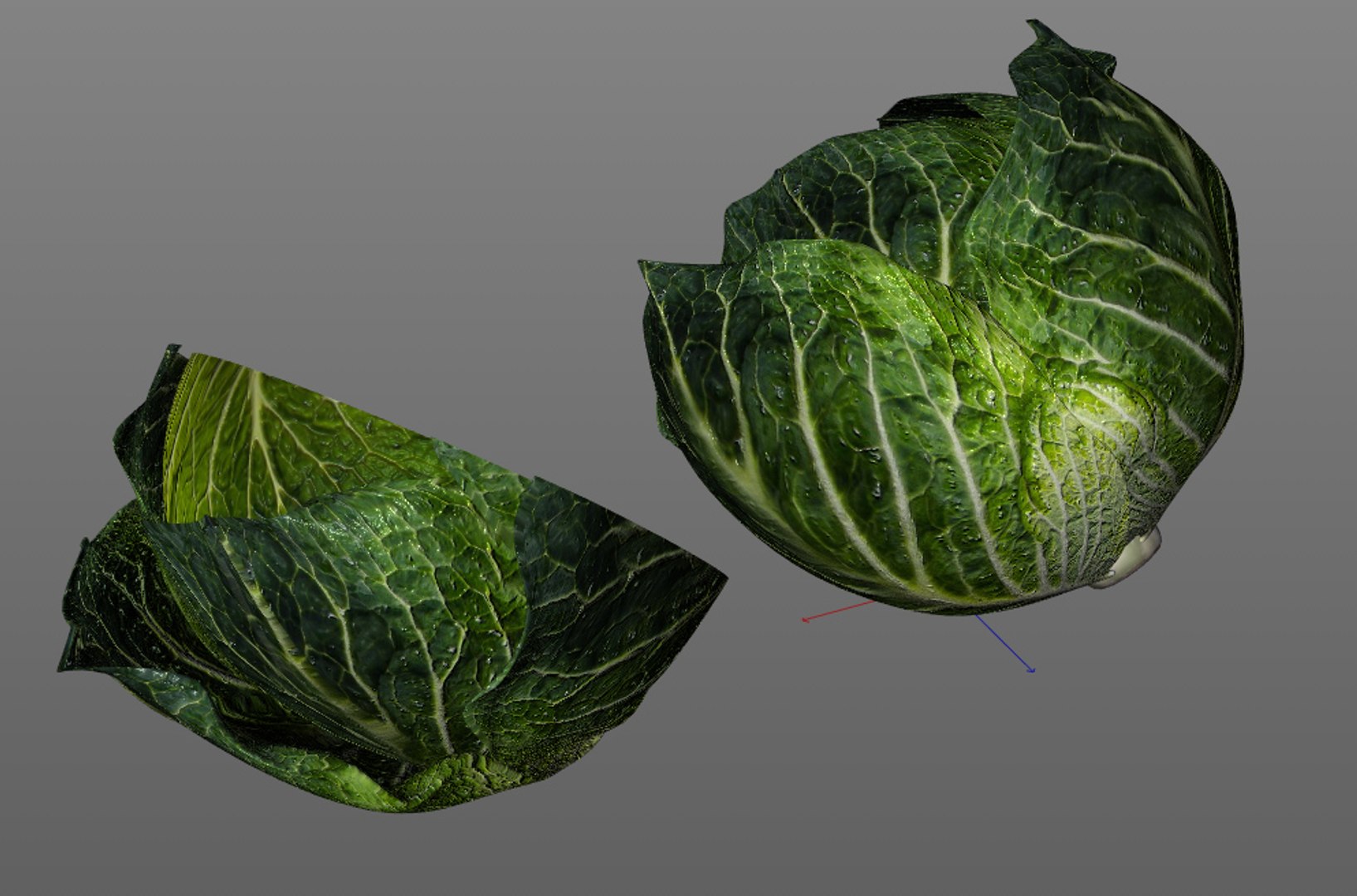 Cabbage 3D - TurboSquid 1544475